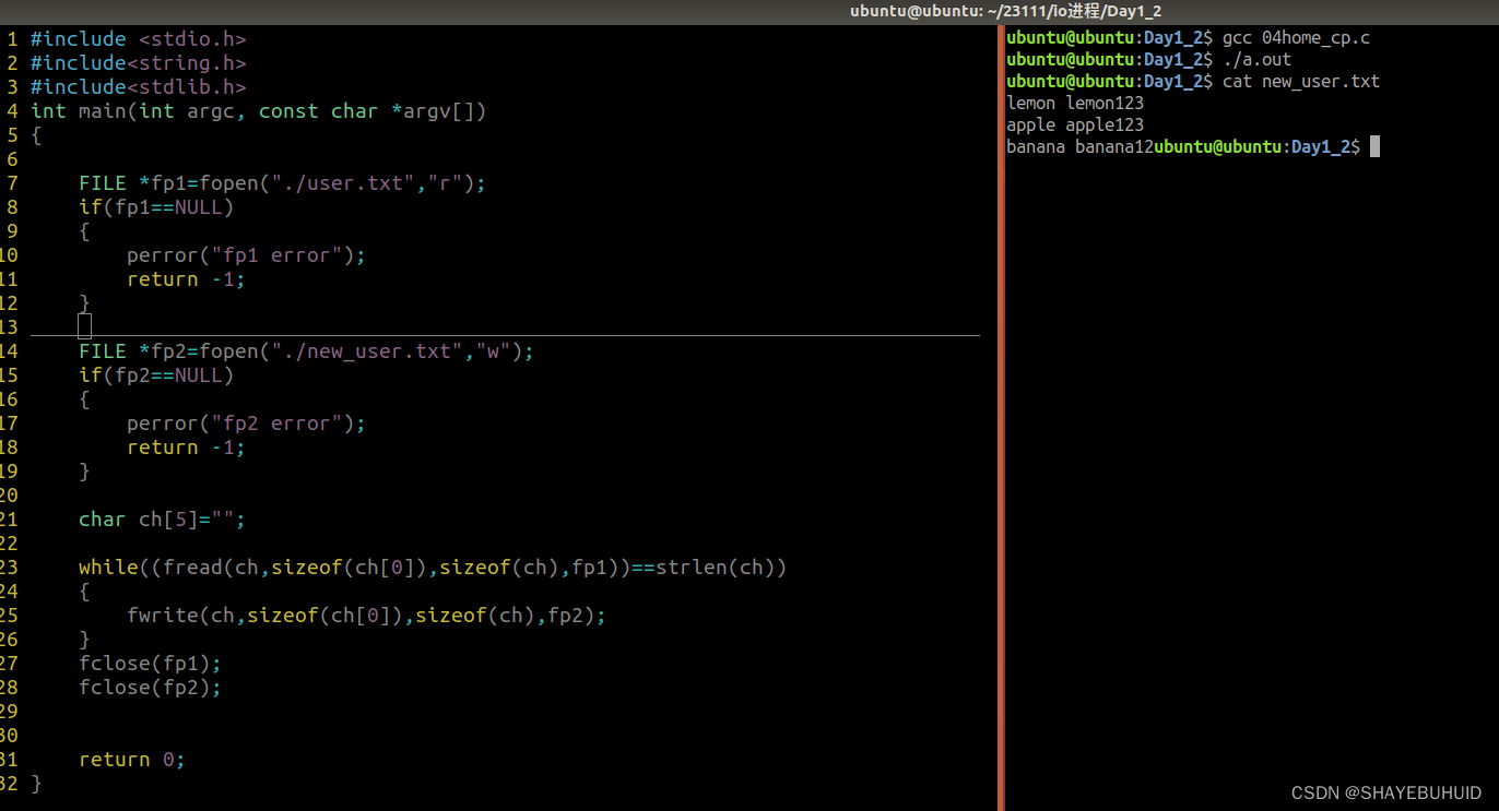IO_day_1_2-CSDN博客