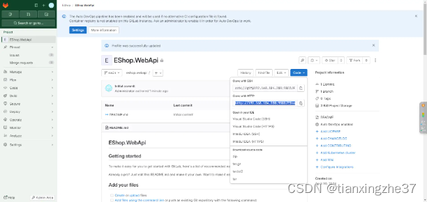 使用GitLab自带的CI/CD功能在本地部署.Net8项目（二）_gitlab net8程序自动部署-CSDN博客
