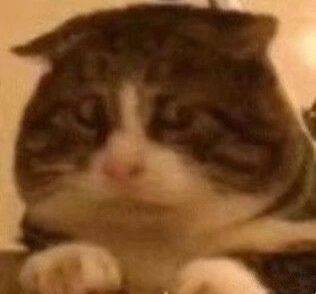 socket传数据时遇见的错误java.io.EOFException at org.apache.tomcat.util.net.NioEndpoint$NioSocketWrapper ...