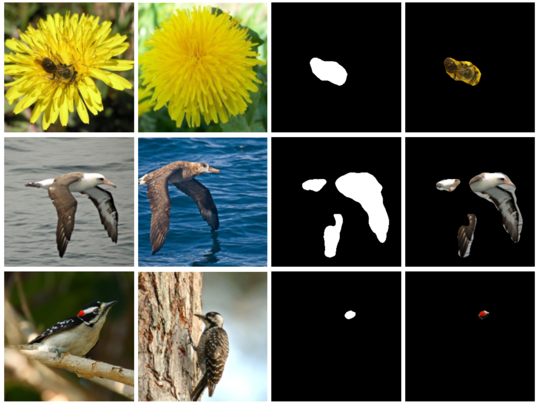 Sub-Image Anomaly Detection with DeepPyramid Correspondences 基于深金字塔对应的子 ...