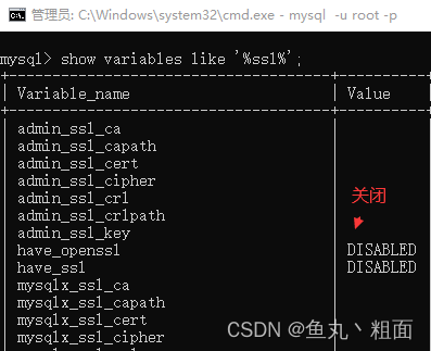 Python Django 之连接 Mysql 数据库详解_django mysql-CSDN博客
