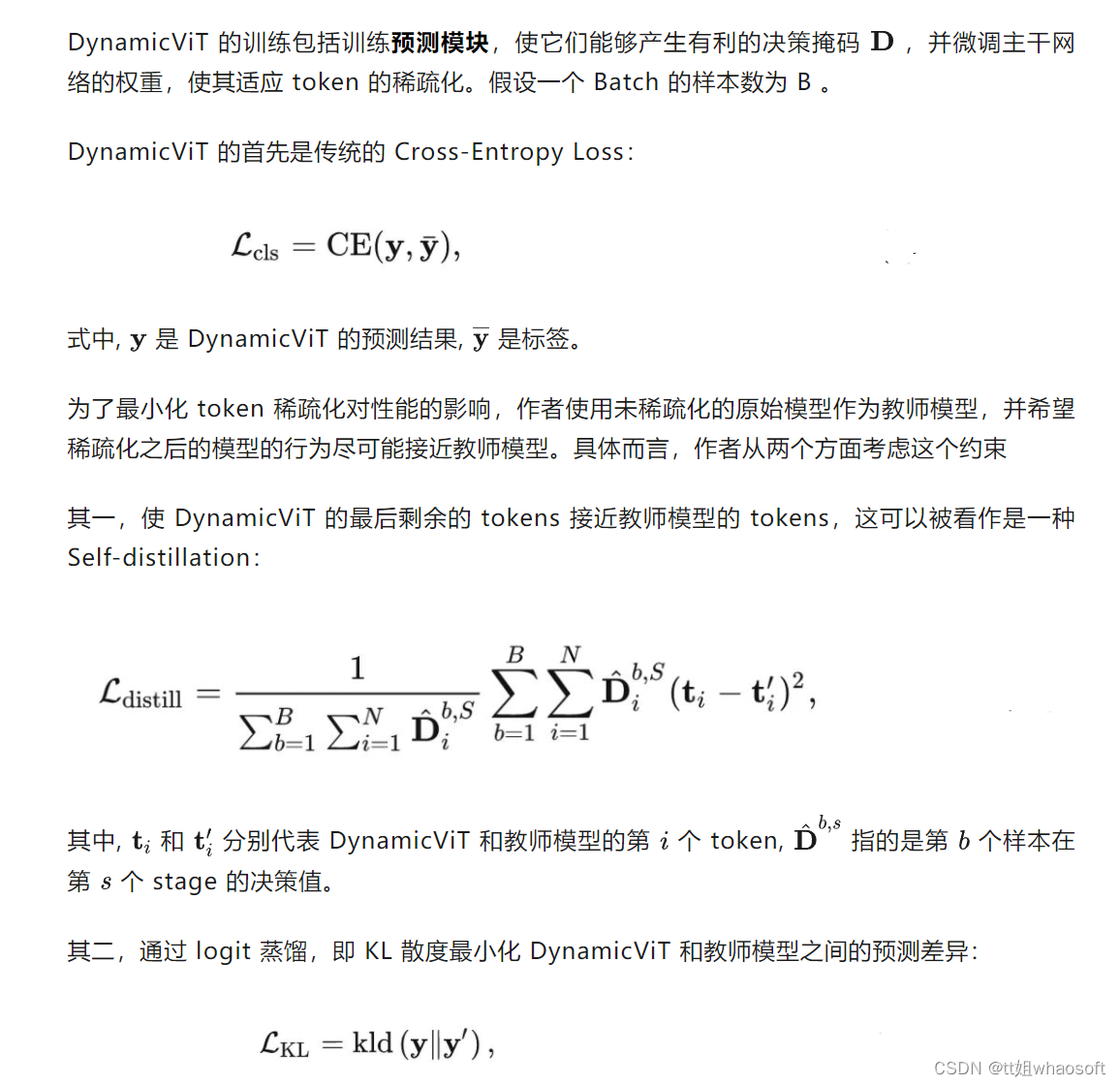 DynamicViT-CSDN博客