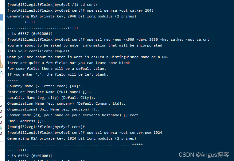 Nginx ssl双向认证包含移动端和PC端证书生成_nginx ssl证书生成ca pem key-CSDN博客