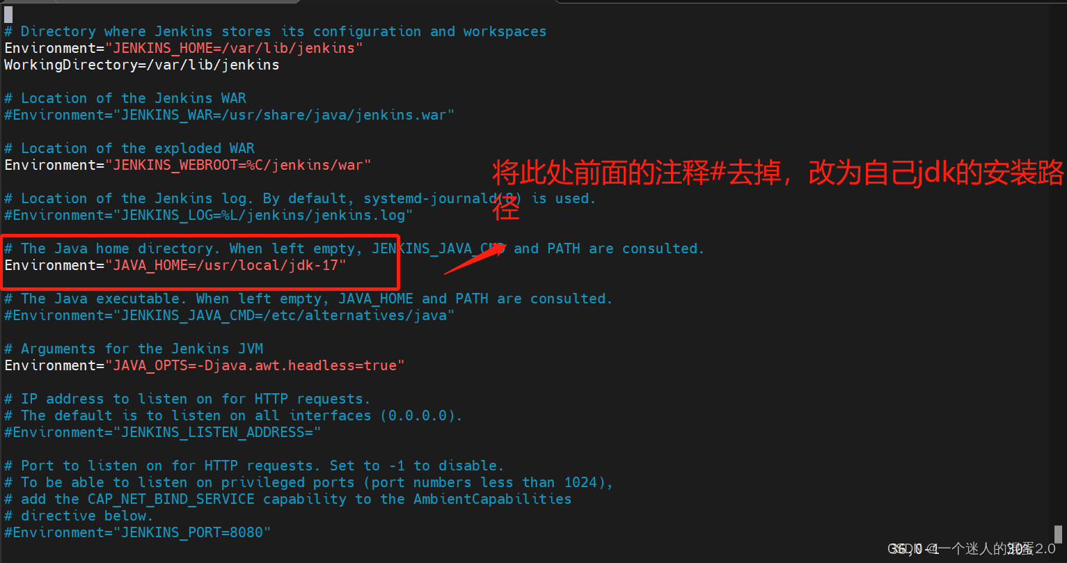 Jenkins的安装搭建（linux）_linux安装jenkins-CSDN博客
