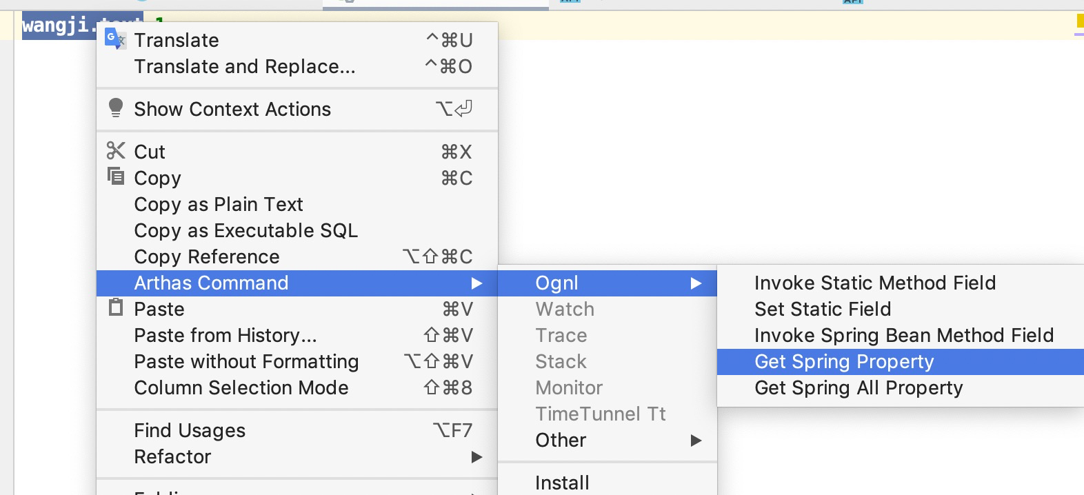 arthas idea插件的使用_idea arthas-CSDN博客