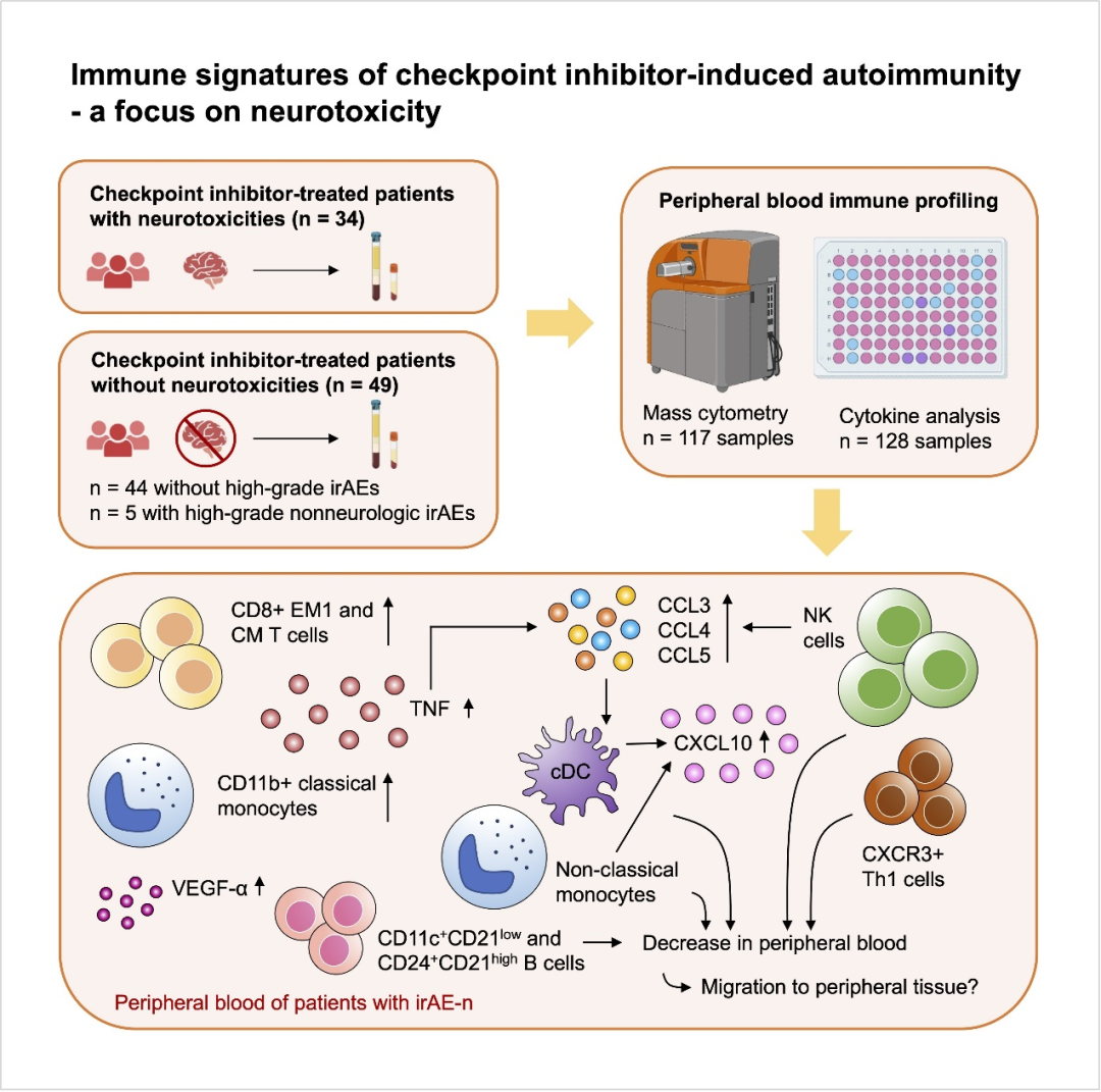 Neuro Oncol（IF=15.9）：质谱流式（CyTOF）揭示免疫治疗相关不良事件的细胞亚群标志物_cytof数据分析-CSDN博客