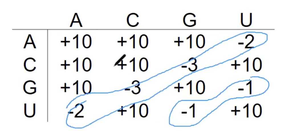 【RNA folding】RNA折叠算法与生物物理约束_rnafold-CSDN博客
