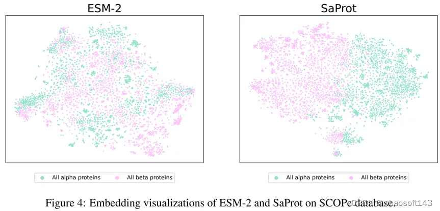 SaProt_saprot embedding 的结果-CSDN博客