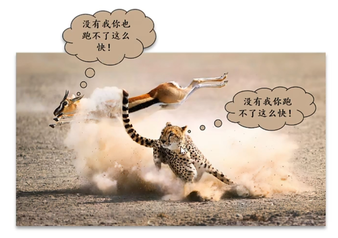 【NMI 2021】从生物学角度看进化计算（6个生物进化特征）_nmi生物-CSDN博客