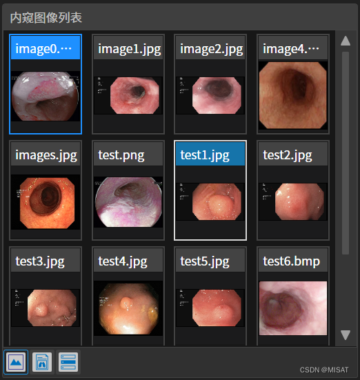 MISAT医学图像分割与标注软件套装专业版正式上线-CSDN博客