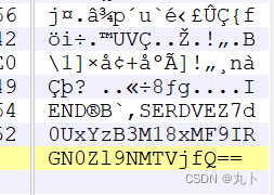 [HDCTF 2023]hardMisc-CSDN博客