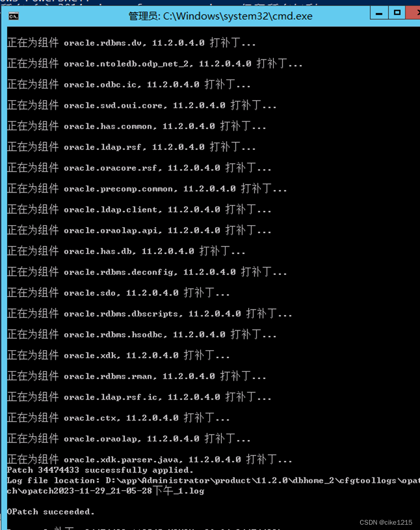 windows上oracle11g安装补丁（patches）_如何下载oracle11补丁包-CSDN博客