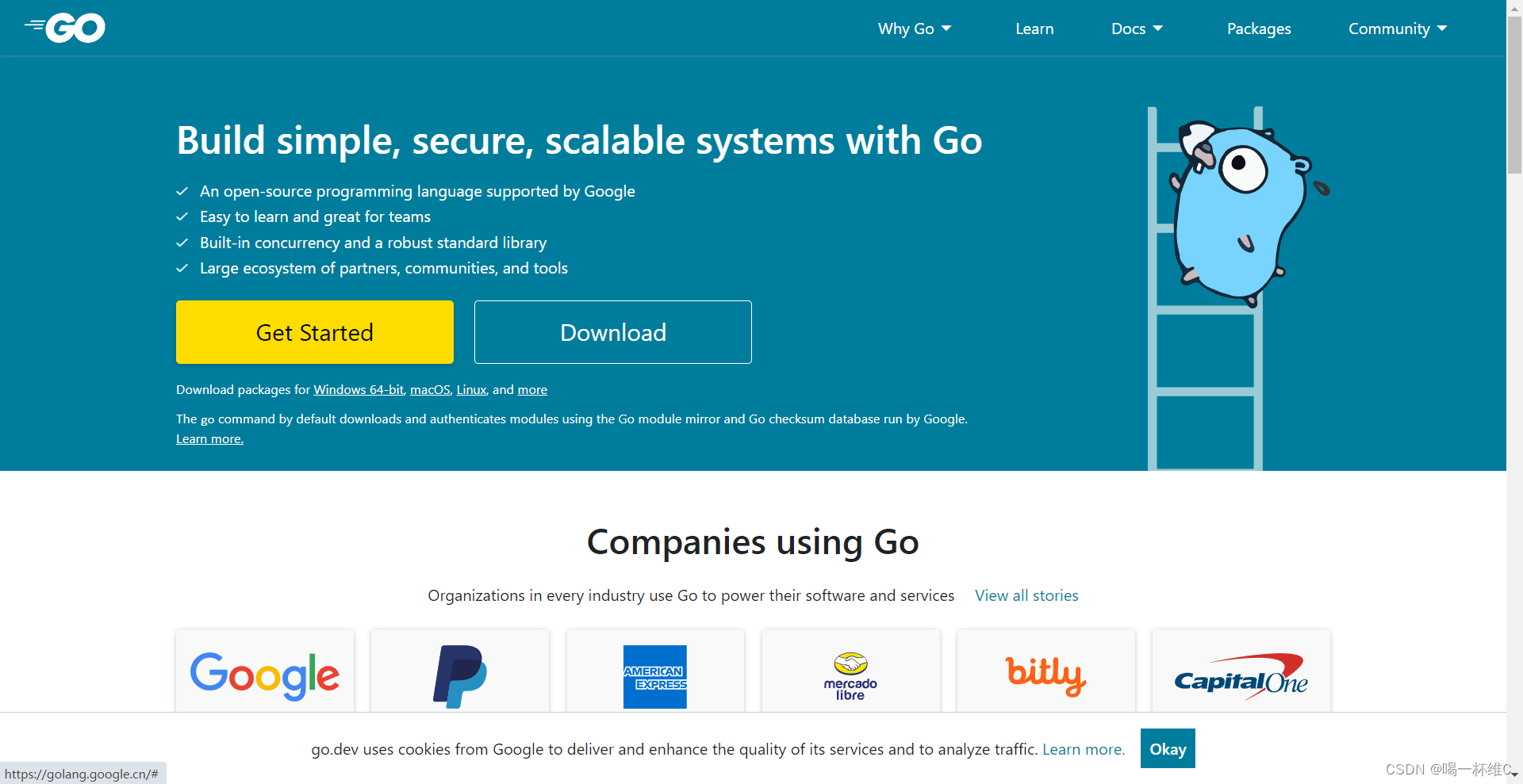 golang 语言入门 环境安装以及详细介绍_vscode golang 安装-CSDN博客