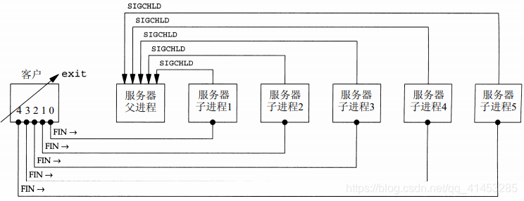 UNP编程：10---TCP之（子进程终止处理：wait、waitpid）_if((childpid = fork()) == 0)-CSDN博客
