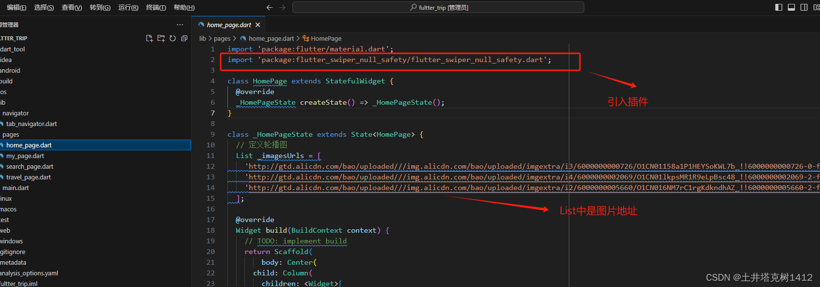 Flutter轮播图Banner_flutter banner-CSDN博客