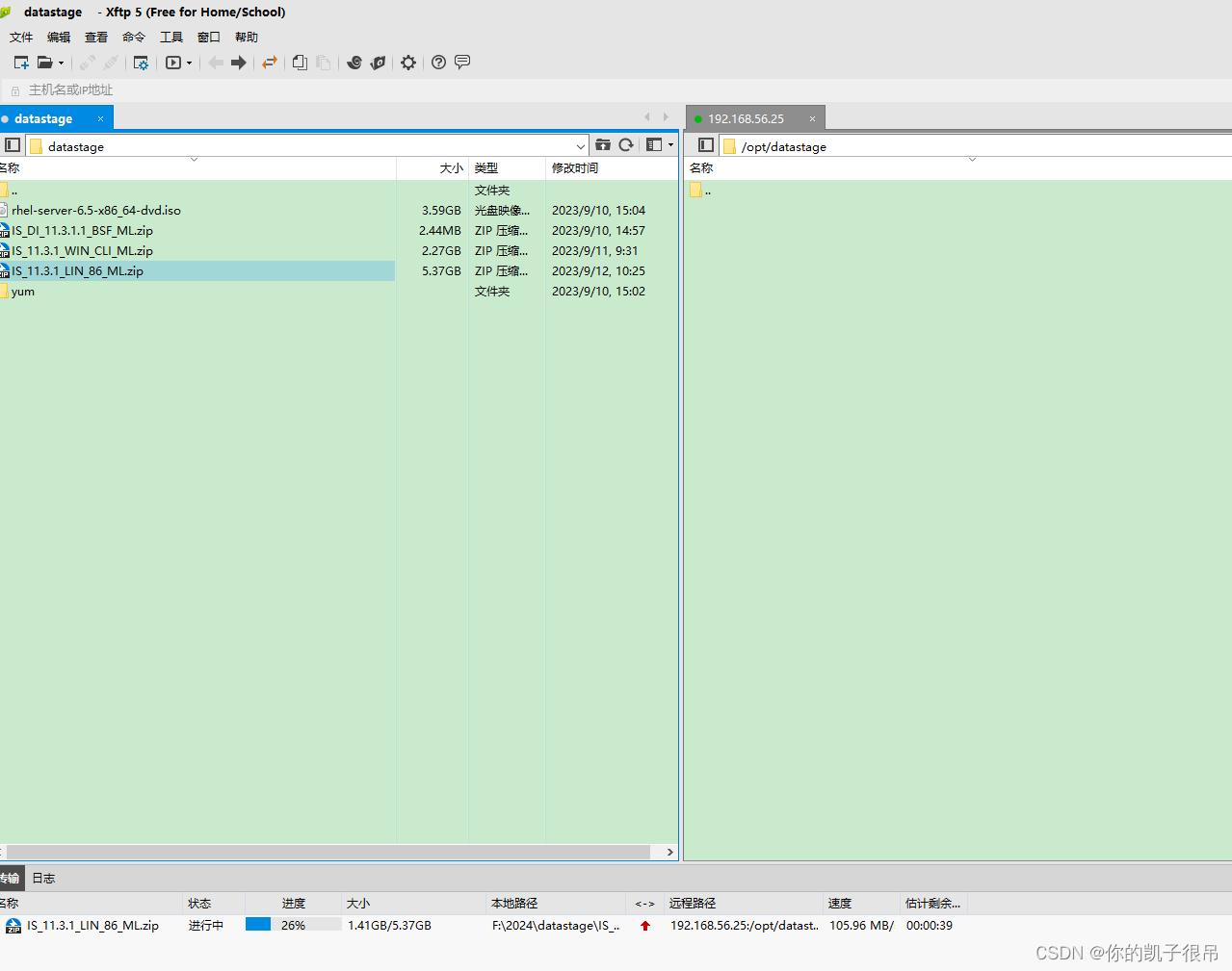 Datastage部署与使用_datastage安装教程-CSDN博客