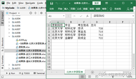 Python实例｜将Excel文件的工作簿内容拆分为多个Excel文件_如何用py把exls工作薄拆成多张工作薄-CSDN博客