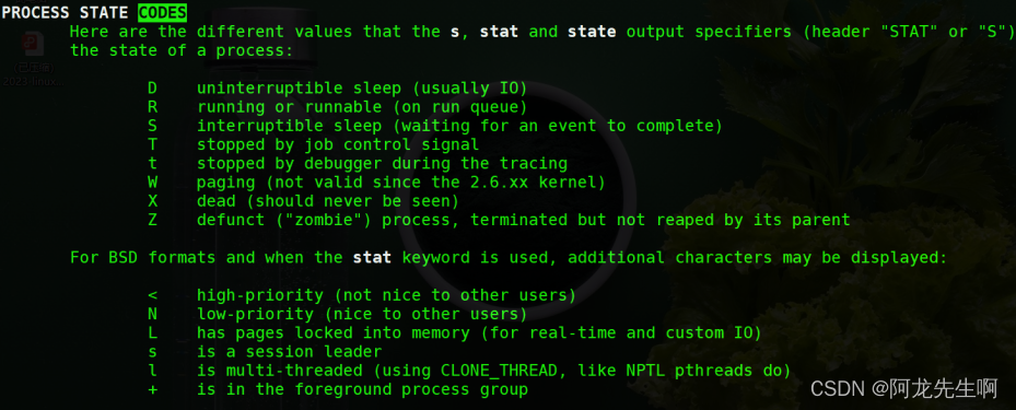 【Linux】进程查看|fork函数|进程状态_linux获取fork状态-CSDN博客