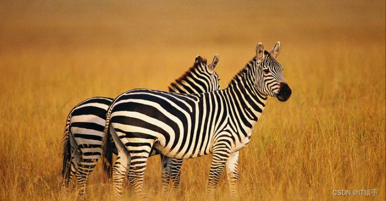 Cec2017斑马优化算法（zebra Optimization Algorithm，zoa）求解cec2017（提供matlab代码） Csdn博客 