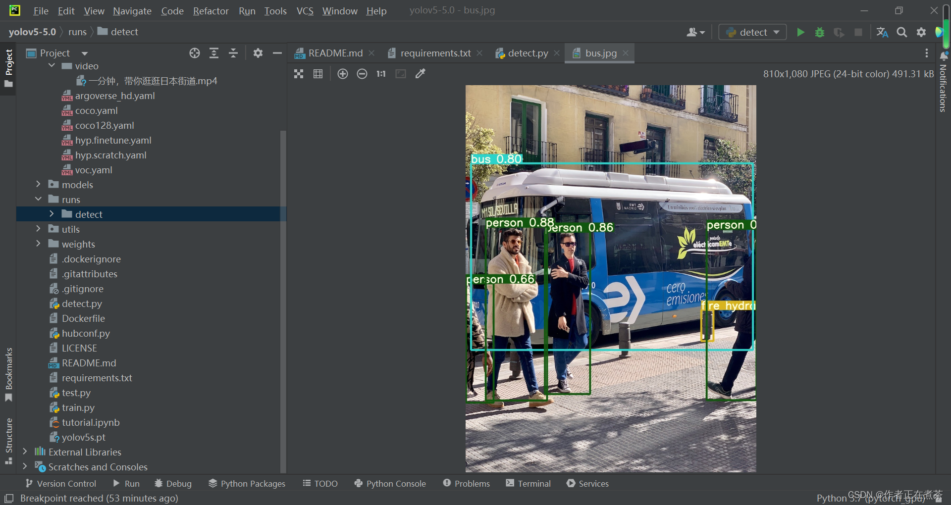 【土堆】目标检测 YOLOv5 开源项目入门实战 1（最详尽版）—— 关于 detect.py 参数讲解与 lux ( annie ) & ffmpeg 安装_yolov5开源-CSDN博客