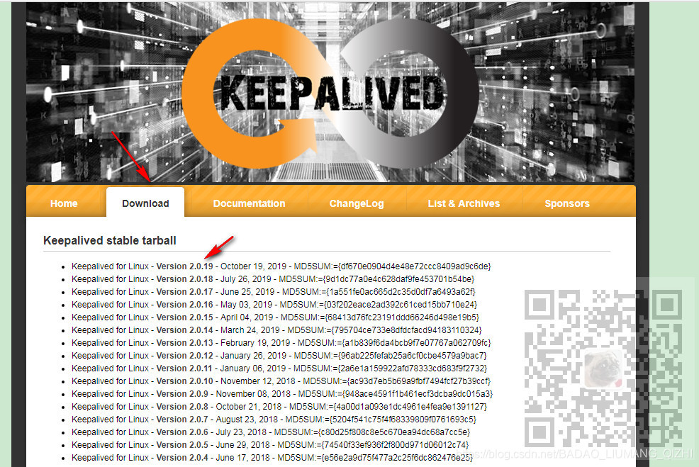 Ubuntu Server中安装keepalived_keepalived ubuntu server-CSDN博客