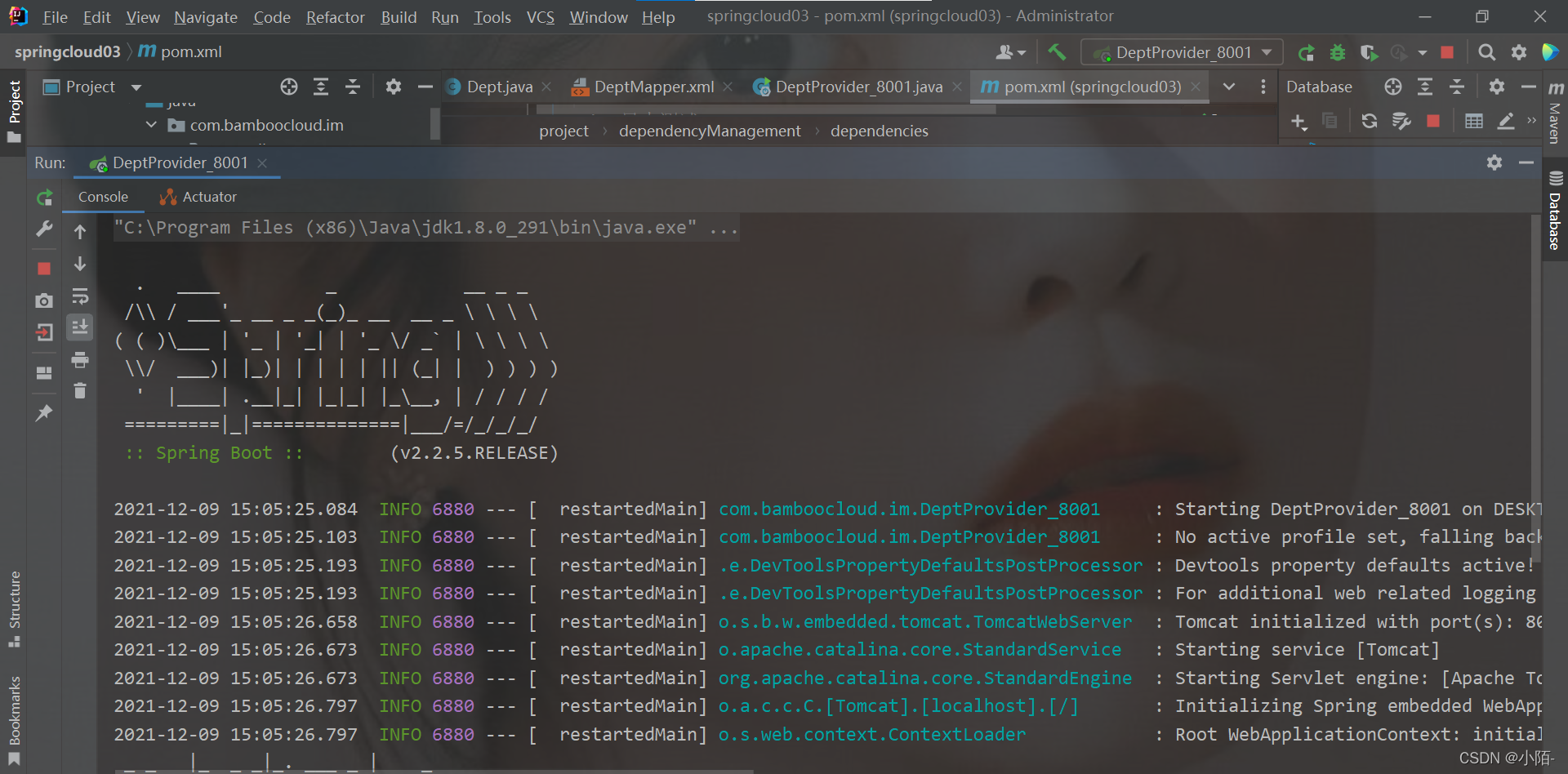 Error creating bean with the name “deptController“狂神spring cloud工程报错_error creating bean with ...