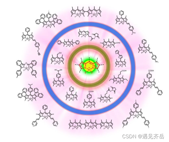 苯乙烯基綦乙烯基苯丁烯基修饰bodipy染料聚合物bodipy染料定制服务h聚集 Bodipy染料 Csdn博客