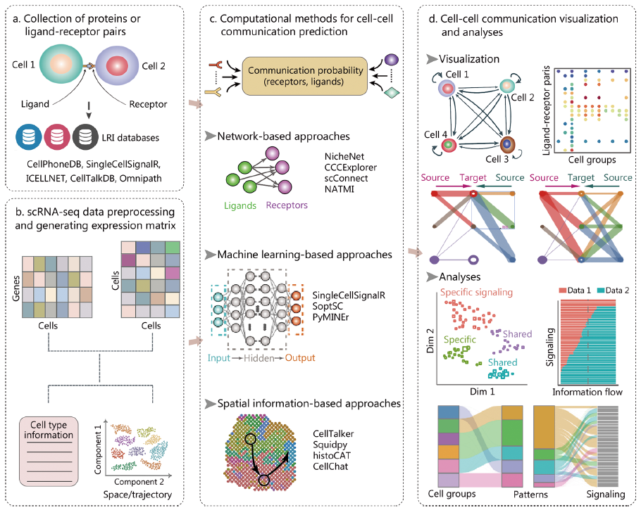 超详细 | 生物医学研究和临床应用中scRNA-seq的数据分析指南_scsorter rna-CSDN博客