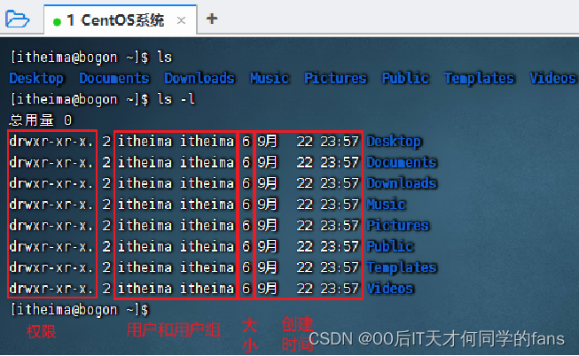 Linux学习笔记 --- Linux基础命令Part1_linux的home-CSDN博客