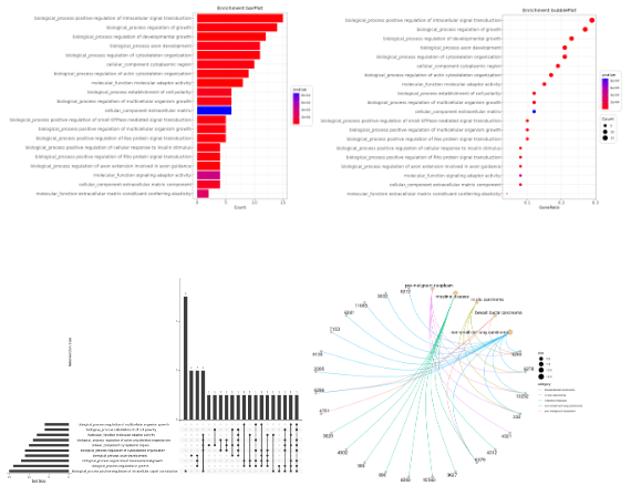 富集分析不求人，零代码可视化GO/KEGG分析结果_kegg rich factor-CSDN博客
