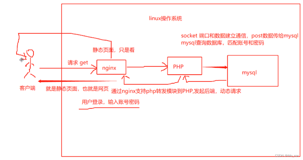 【LNMP】LNMP-CSDN博客