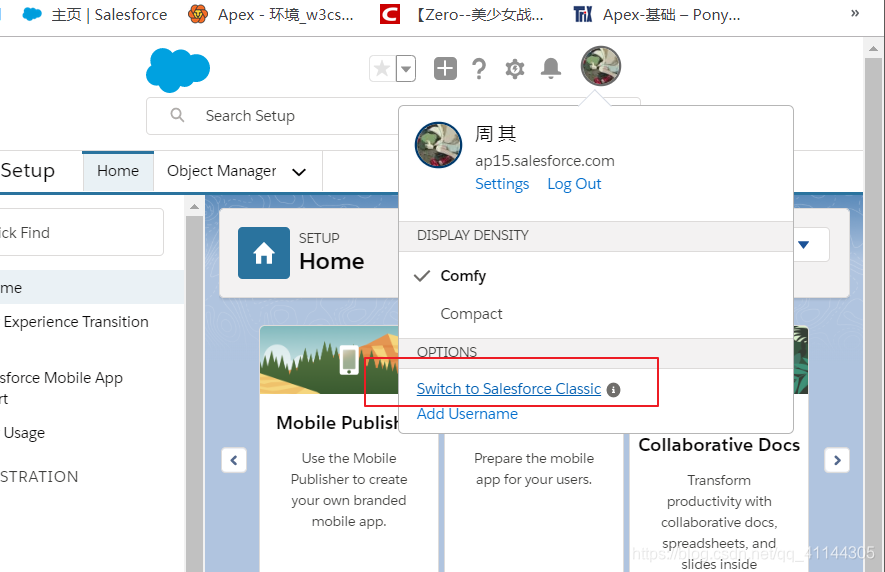 Salesforce开发教程(上下)-CSDN博客