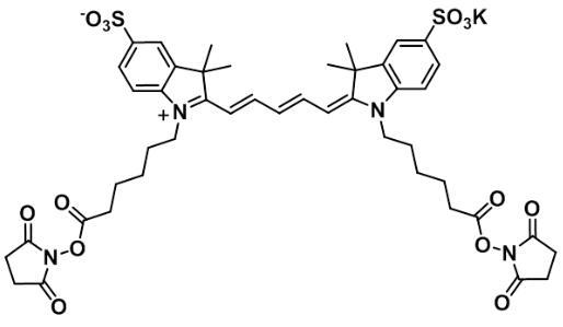 荧光染料252255-42-8，Sulfo Cy5 bis NHS，可用于跟踪其在细胞或组织中的定位和分布-CSDN博客