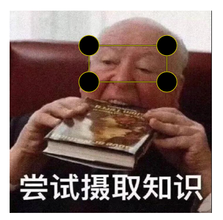 Annotorious入门教程：图片注释工具-CSDN博客