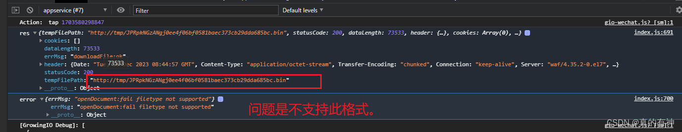 原生小程序在ios打不开在线预览文件的问题_opendocument:fail filetype not supported-CSDN博客