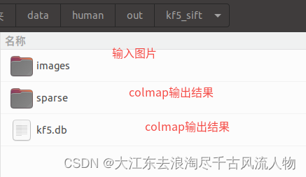 【NeRF数据集】LLFF格式数据集处理colmap结果记录_llff数据集-CSDN博客