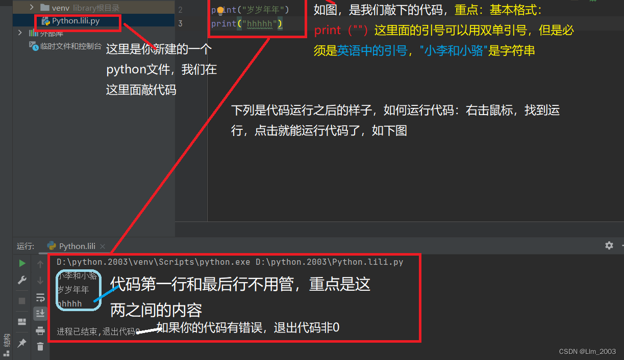 Python编程入门：从零开始写你的第一个程序 Csdn博客