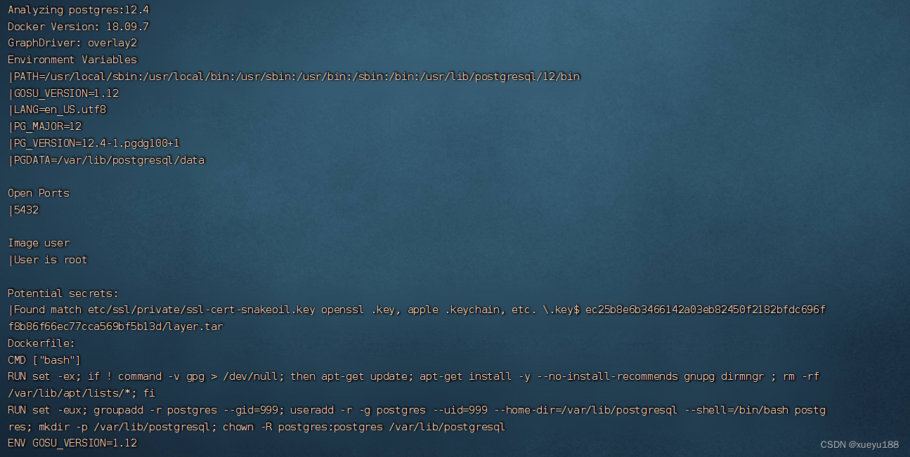 通过docker镜像逆向dockerfile_dockfile 逆向-CSDN博客