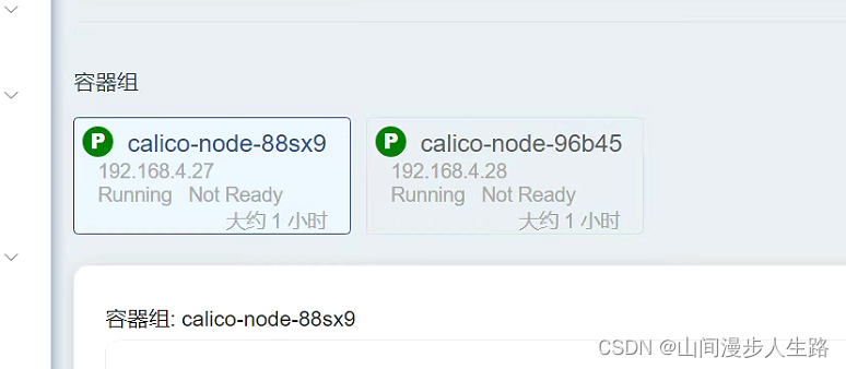 【calico not ready】 BGP not established with 192.168.xxx.xxx 记录calico 启动问题-CSDN博客