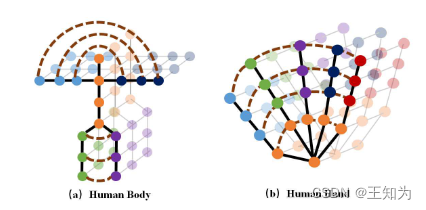 Exploiting Spatial-temporal Relationships for 3D Pose Estimation via Graph Convolutional ...