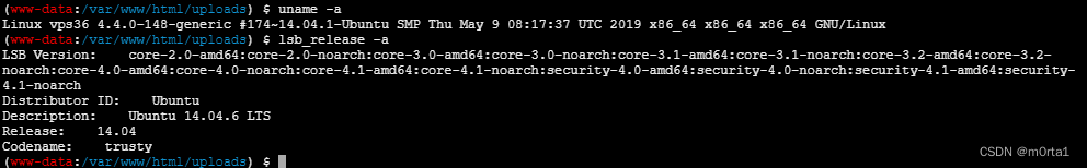 记一次 AWD 比赛中曲折的 Linux 提权_awd常用提权-CSDN博客