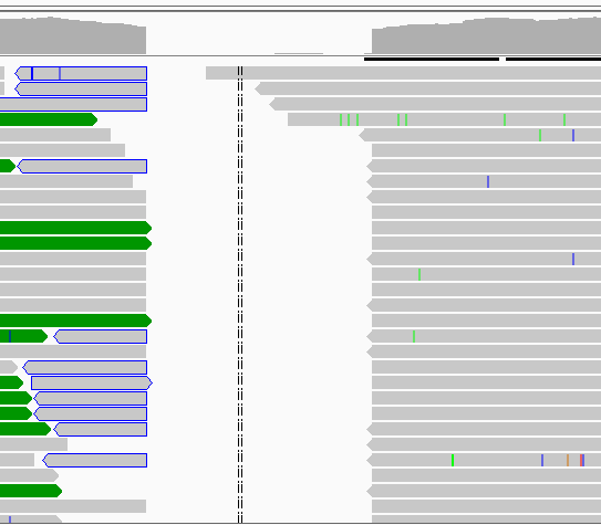 使用LUMPY检测结构变异-CSDN博客