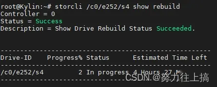 使用storcli/storcli64工具配置RAID-CSDN博客