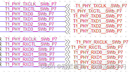 【Capture CIS使用tips】-CSDN博客