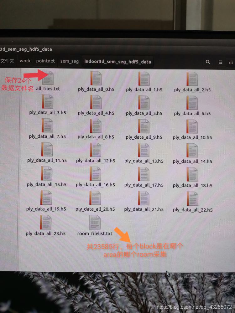 Pointnet语义分割任务在S3DIS数据集上复现_pointnet++s3dis语义分割-CSDN博客
