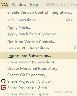 idea2021配置使用SVN_idea2021配置svn-CSDN博客