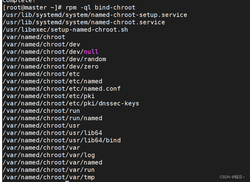 DNS服务与管理_部署主从节点dns服务器的节点-CSDN博客