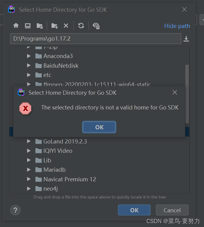 解决IDEA 引入GO SDK无法加载本地Go，The selected directory is not a valid home for Go SDK_idea无法引入go的sdk-CSDN博客