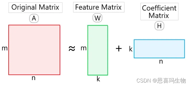 NMF（非负矩阵分解）分子分型_genenmf-CSDN博客