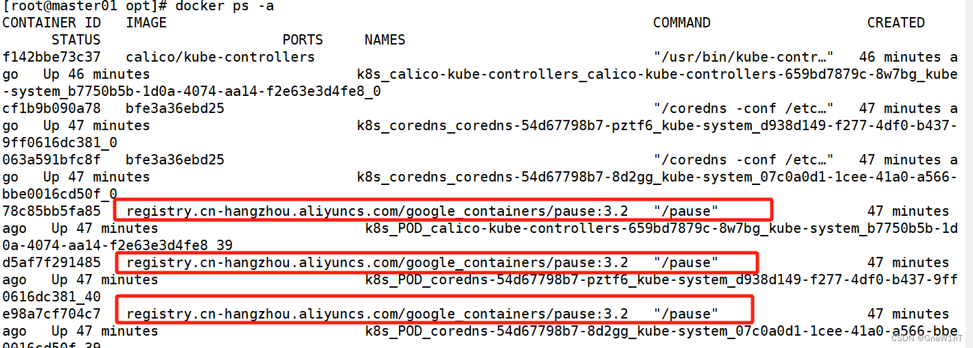 Pod基础概念_pod类型-CSDN博客